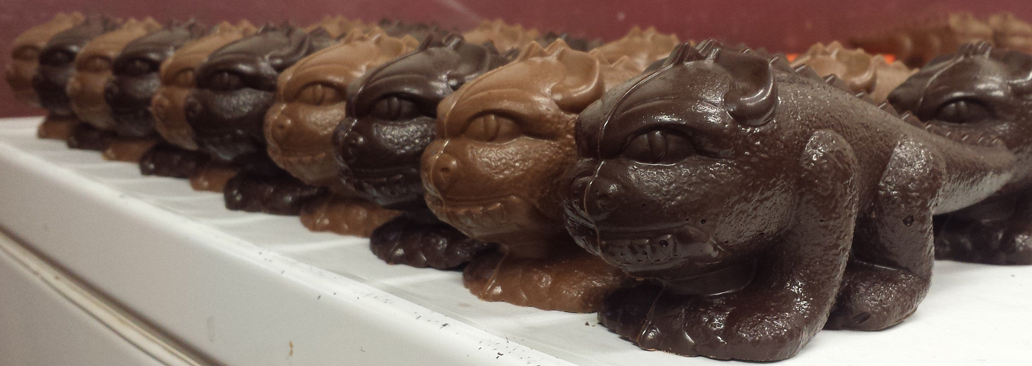 Rhinelander/Hodag Gifts – Fun Factory Sweet Shoppe